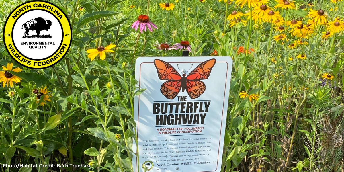 Life on the Highway: Providing Pitstops for Pollinators on NCWF's ...